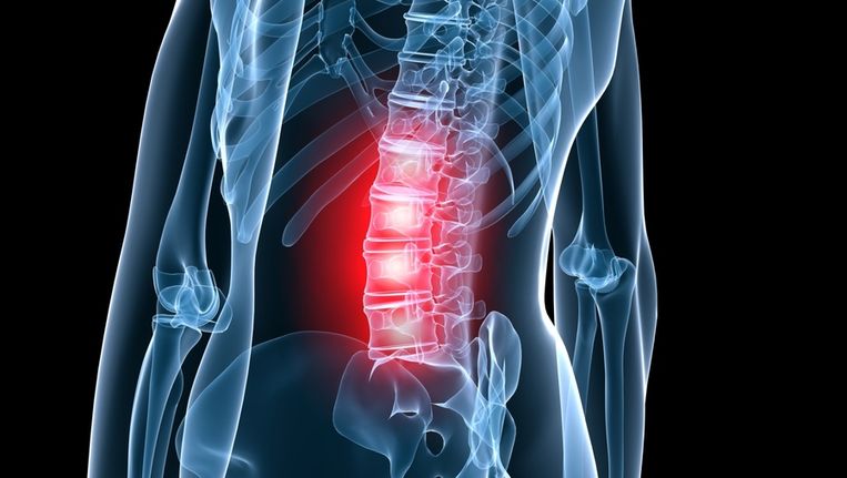 Bijzondere operatie redt leven 5-jarige Rosie | De Volkskrant