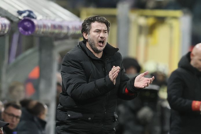 Carl Hoefkens blijft topkandidaat bij Zamalek | Voetbal | hln.be