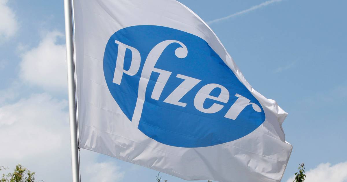 Pfizer wil tot 62 jobs schrappen in hoofdzetel in Brussel wegens daling ...