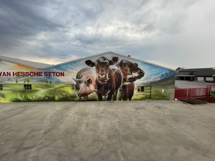 Graffitikunstenares Djoels zorgt voor enorme ode aan landbouwleven in ...