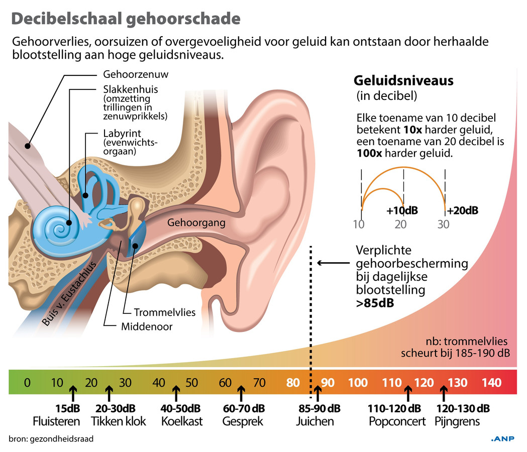 Verbijstering bij geluidsexperts om rapport over gehoorschade: ‘Ze ... Verbijstering bij geluidsexperts om rapport over gehoorschade: ‘Ze ...