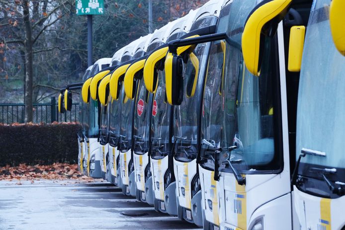De Lijn moet in 2023 op zoek naar 900 chauffeurs | Binnenland | hln.be