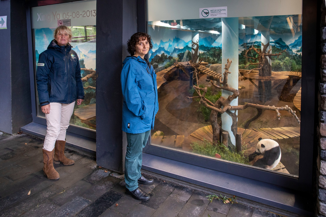 ‘Bio-diversi-WAT?!’: met de panda’s van Ouwehands leren over ...