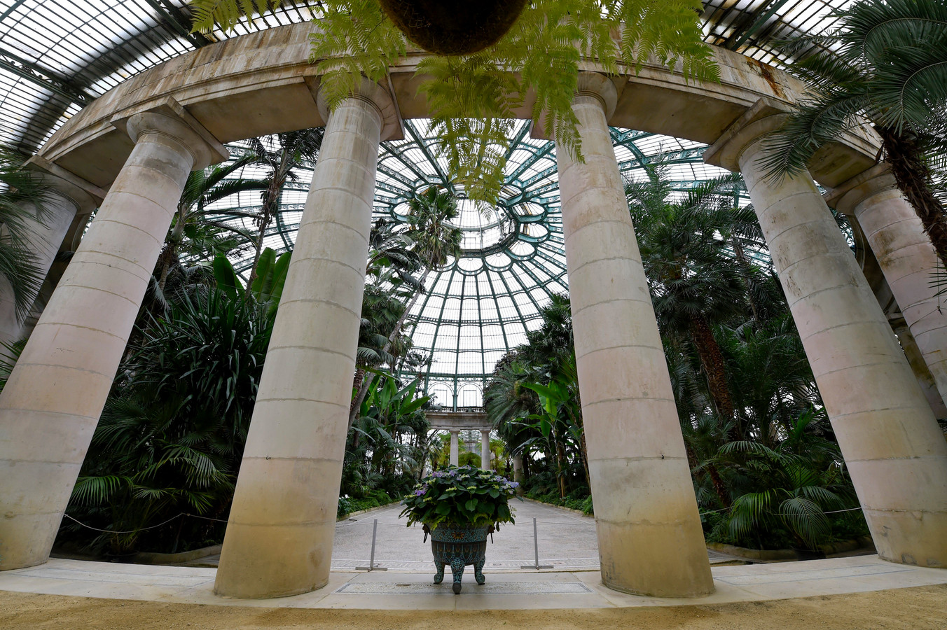 Gekocht door Napoleon en bijna verwoest door brand: achter de schermen ...