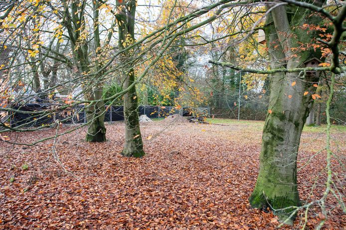 Zoektocht in volle gang: wie rusten in de aarde van De Goede Herder? En ...