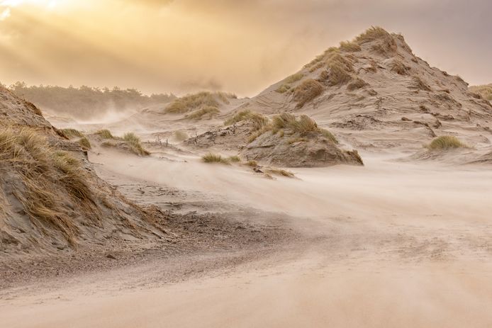Bedreigingen en de schoonheid van De Kop van Schouwen zijn vastgelegd ...