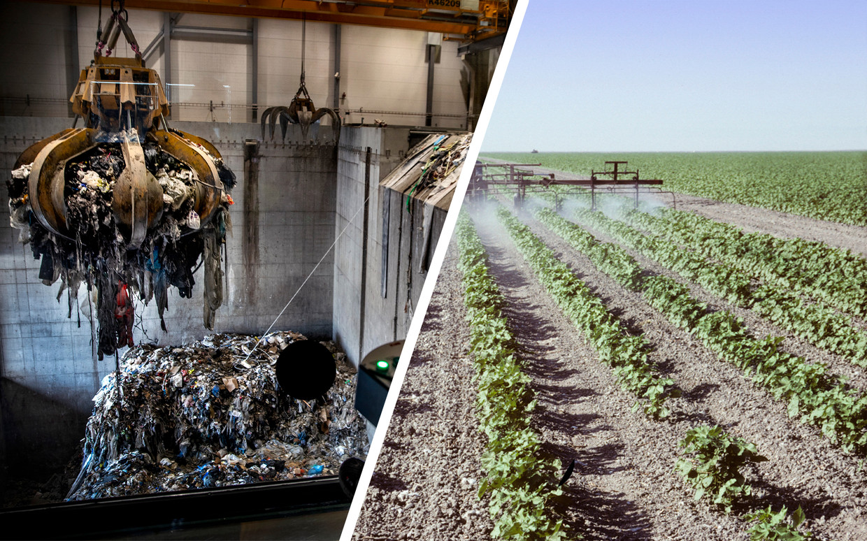De lucht is gezonder en er worden minder pesticiden gebruikt in de ...