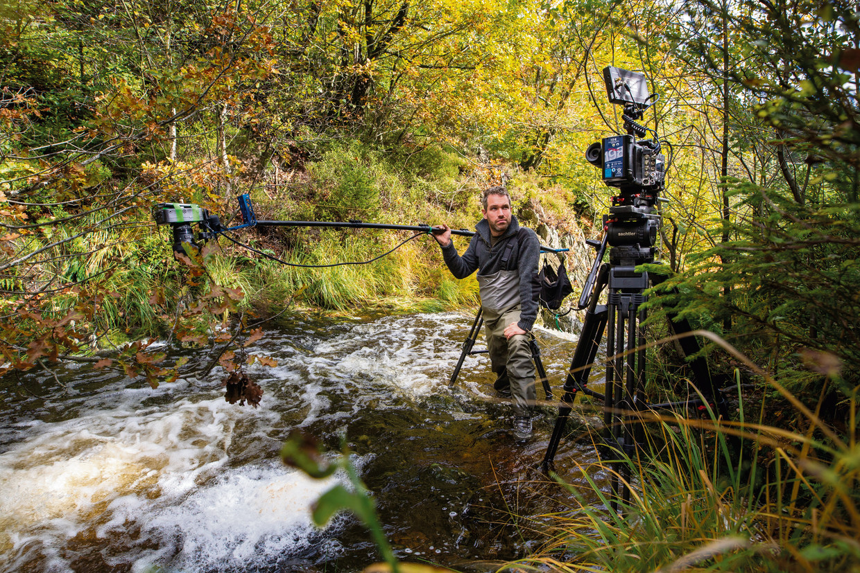 De natuur en hoe ze te filmen: documentairefilm over Belgische fauna en ...