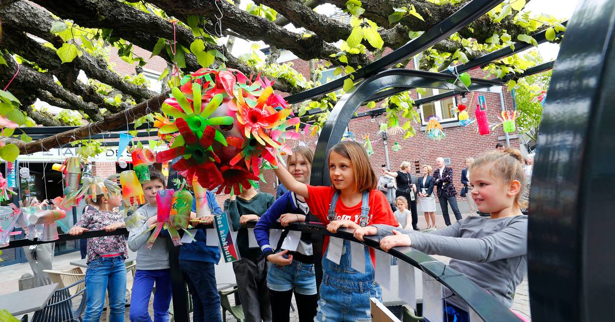 Oude lindeboom bij 't Oude Raadhuis in Beek en Donk in bloei dankzij ...