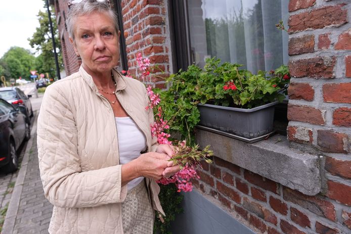 Geraniumhater heeft het voor tweede zomer op rij gemunt op bloemen van ...