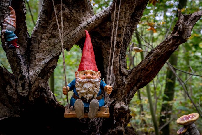 Weer volop kabouters in het bos in Horssen: ‘Er hangen nu camera's ...