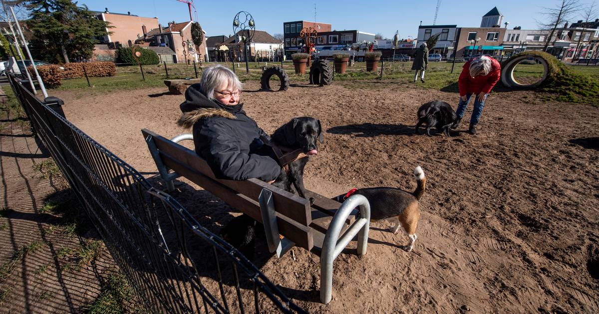 Drie keer is scheepsrecht: eindelijk opening hondenpark in Almelo ...
