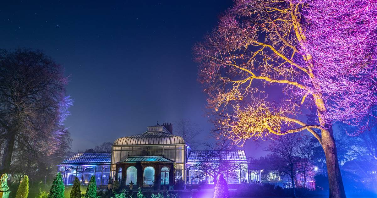 Lumineus Cantonspark in Baarn: bijzondere lichtinstallaties en live ...