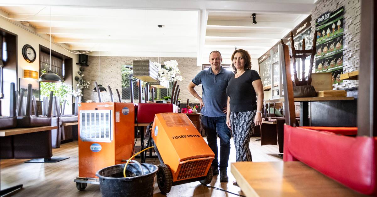 Dat zoon werd weggestuurd op Terpstra, werd redding voor Magda en Patrick van café-restaurant ...