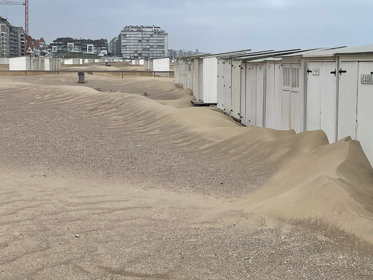 Dit doen aanhoudende wind en droogte met onze stranden: Knokke-Heist ...