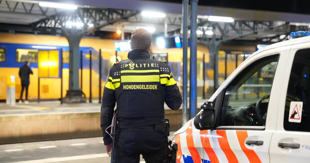 NS-conductrice zwaar mishandeld in trein, ook machinist krijgt klappen ...