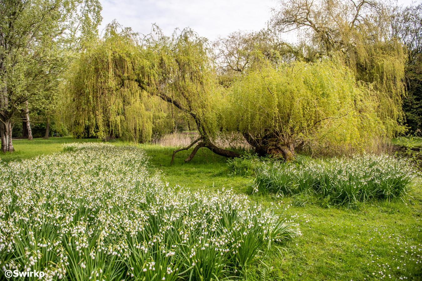 Zo haal je het meeste uit een wandeling door het stadspark: natuurgids ...