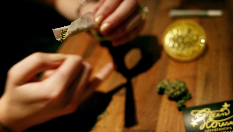 Sterke hasj en wiet worden harddrugs | Het Parool