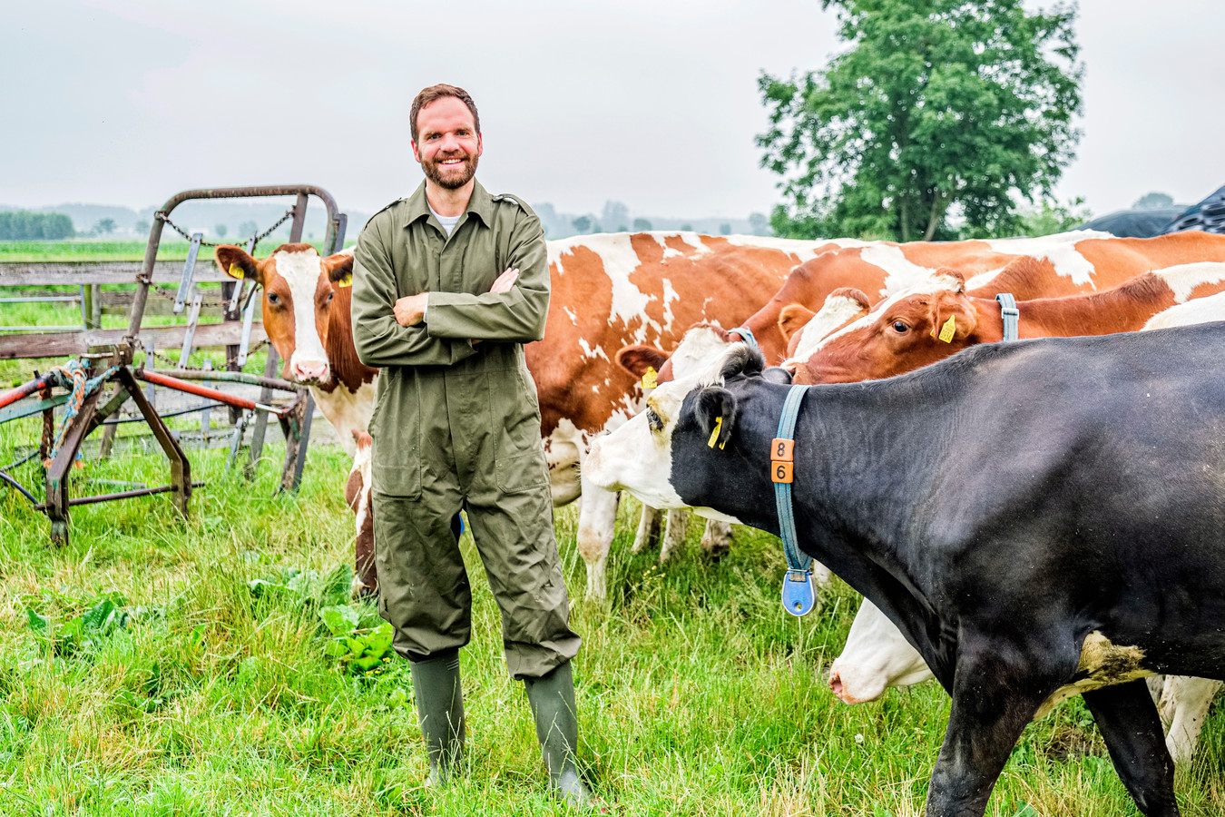 Kamer wil door met stikstofregelingen, maar deadline 2030 lijkt wél van de baan | Foto | AD.nl