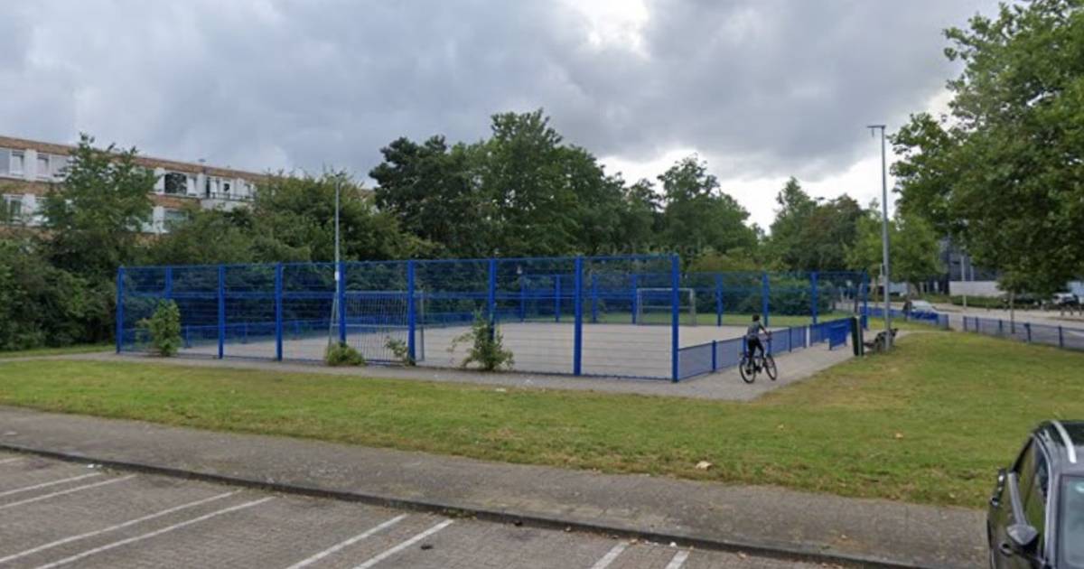 Jongen (14) in Utrecht door meerdere jongens tegen hoofd geschopt en ...