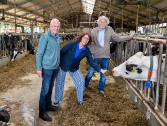 Brummen | destentor.nl