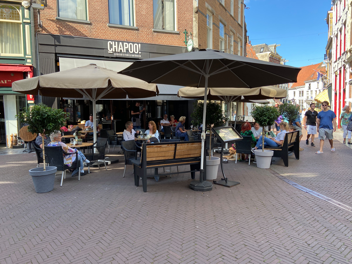 Meerpalen in Deventer, ruw hout in Raalte en bankjes in Zutphen: zo ...