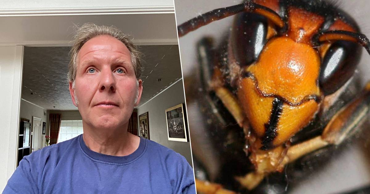 Johan (53) belandt op spoedeisende hulp na zes steken van Aziatische ...