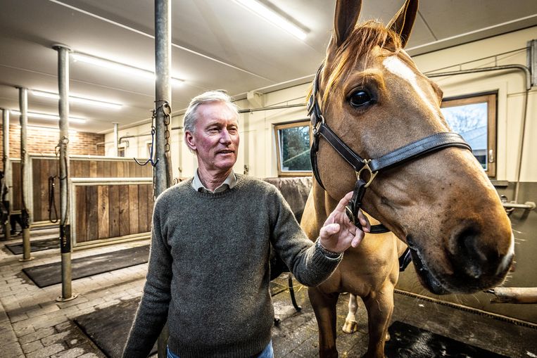 Nieuwe bondscoach van de springruiters wil genoeg rust voor de paarden ...