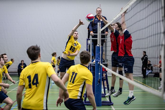 Volleybal: Mannen Set-Up'65 in vijf sets langs Harambee | Regiosport ...