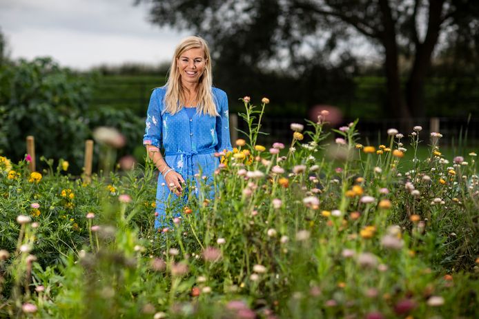 Honey Highway van Deborah Post kleurt alle bermen: 'Op naar 400 km ...