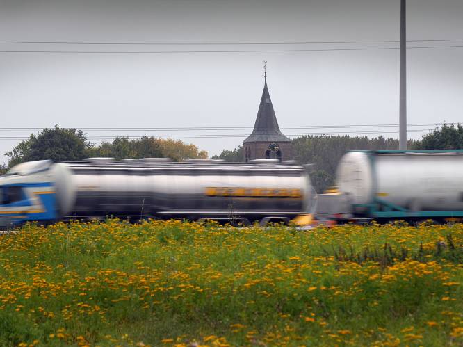Das, wezel en steenmarter zitten de aanleg van geluidswallen langs A73 ...