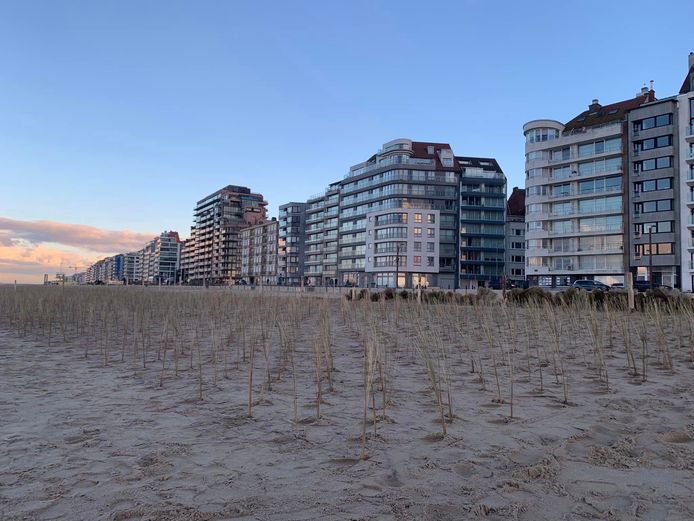 Dit wordt straks duinengordel van 5.400 m² in Knokke-Heist | Knokke-Heist | hln.be