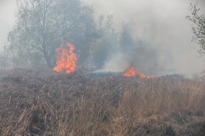 Zeer grote bosbrand in Deurnsche Peel breidt uit, rook in wijde ...