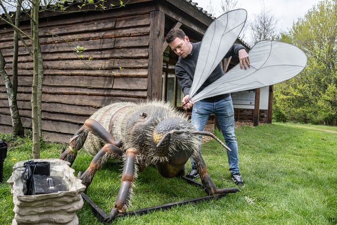 Gigantische insecten, festivalhoreca en speurtochten: De Tuinen van ...
