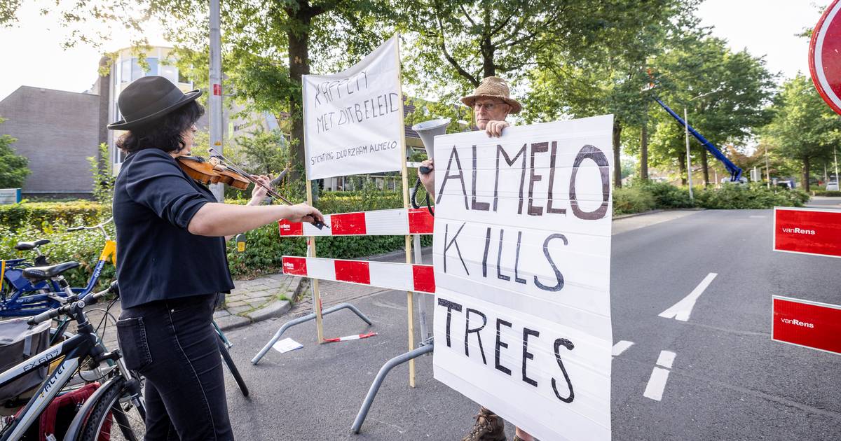 Bomenkap in Almelo tijdelijk stilgelegd na protest: ‘We willen een ...
