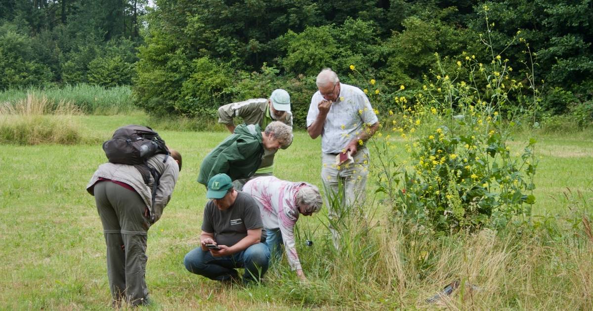 Jarige natuurvereniging Lelystad geeft instapcursus over de natuur van Flevoland | Lelystad ...