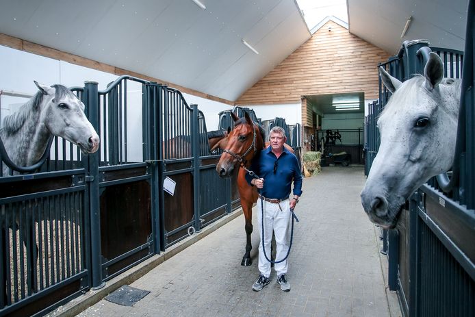 Vijf dagen jumping op internationaal topniveau bij Stephex | Meise | hln.be