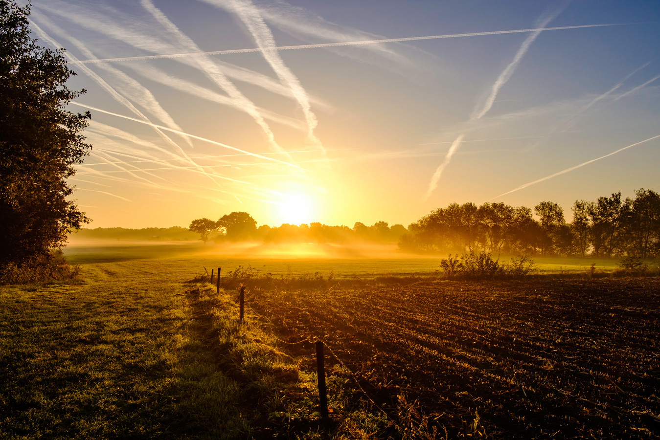 Eindelijk het is weer vroeger en langer licht! En dat is belangrijk ...