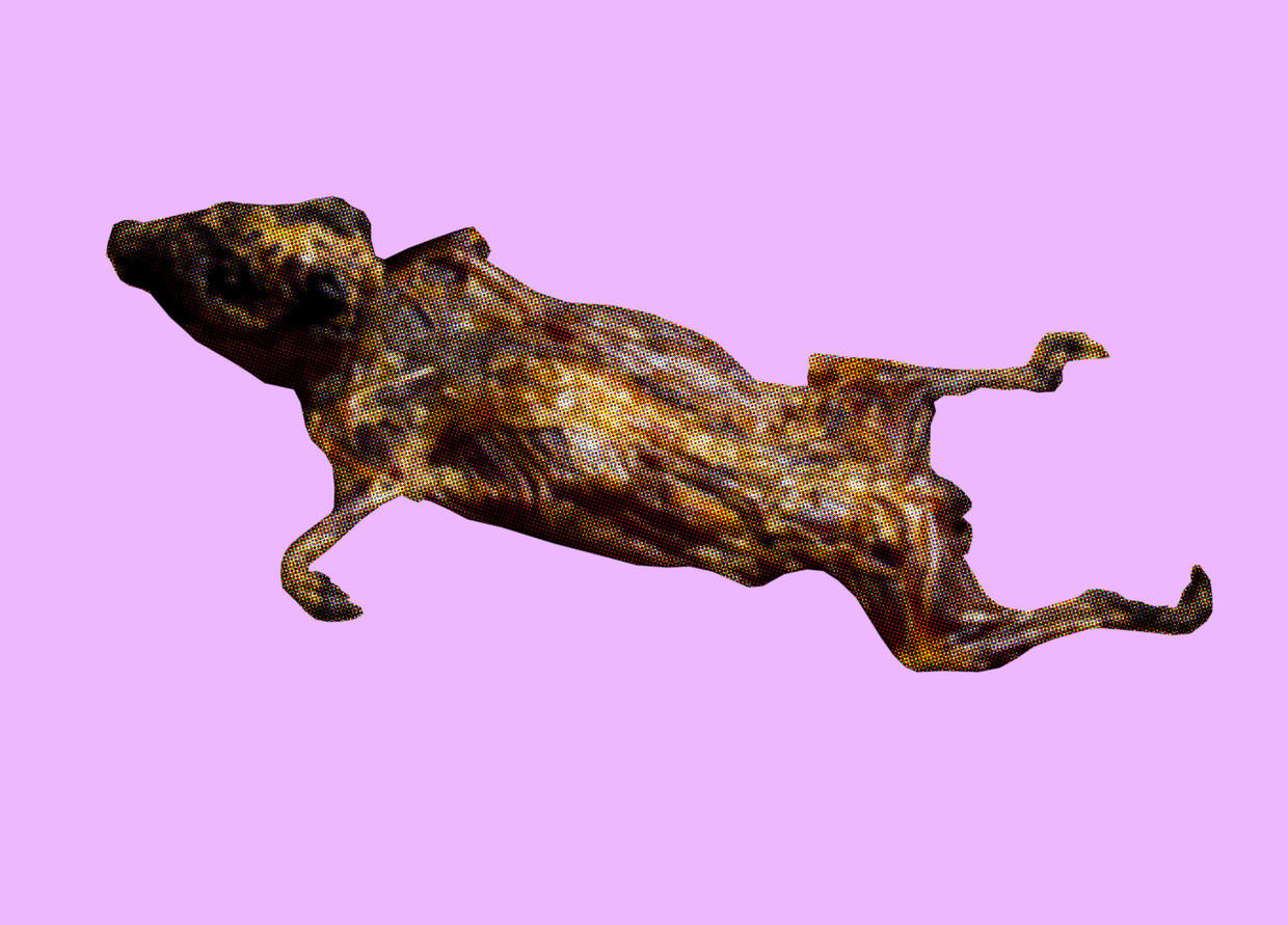 Stierenballen, gebakken cavia en vleermuizensoep: niet voor de ...