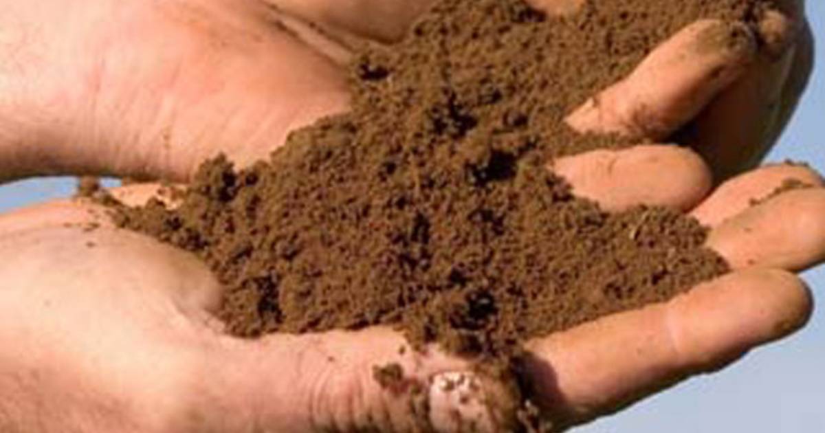 L'excrément humain vendu comme engrais | Insolite | 7sur7.be