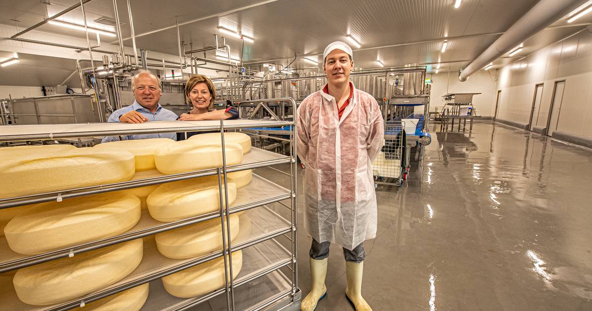 Kaasboerderij ‘t Groendal pakt zes medailles op World Cheese Awards ...