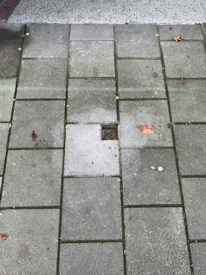 Pas gelegde struikelsteen verdwenen uit Indische Buurt | Amsterdam | AD.nl