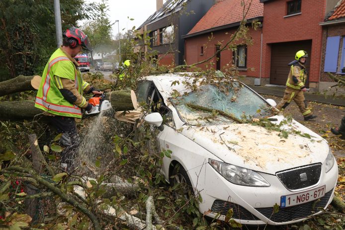 Hulpverleningszone Waasland krijgt 237 meldingen voor stormschade ...