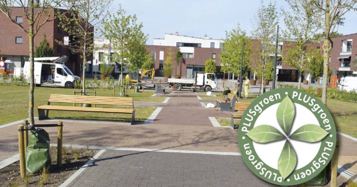 Begijnendijk behaalde de titel ‘Bijenvriendelijke gemeente’ en label ...