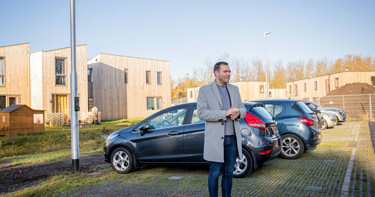 Primeur voor Eindhoven (en tweede in Nederland): lantaarnpaal met ...