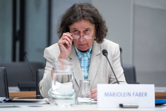 Beoogd Asielminister Faber neemt afstand van omvolkingstheorie: ‘Ik ga ...