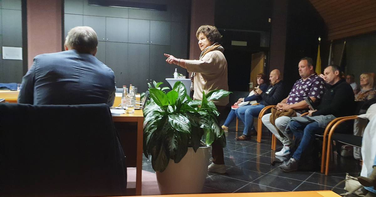 Commotie op gemeenteraad nadat oud-gemeenteraadslid Erna Scheerlinck ...