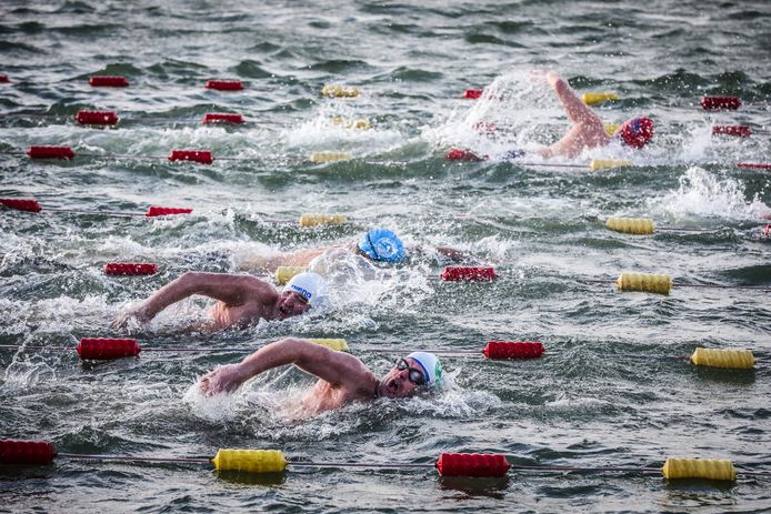 IN BEELD. Met 120 ijsberen het (niet zo) koude water in: “Voor ons ...
