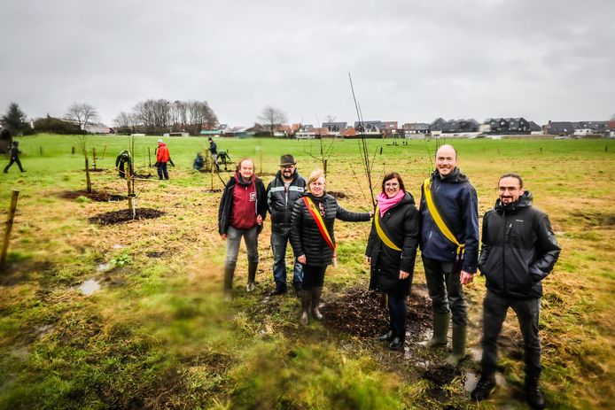 Zedelgem plant voedselbos vol fruitbomen aan op ecologisch ...