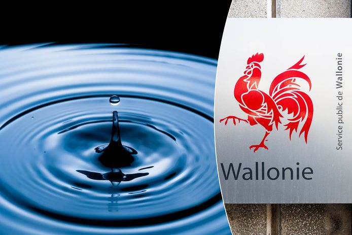 “Nous avons agi avec toute la diligence nécessaire”, se défend l ...